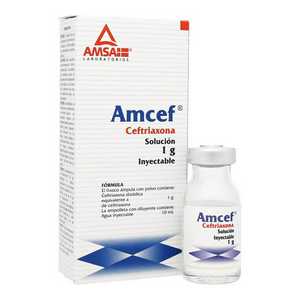 Amcef 1g caja con 1 frasco ámpula de 10ml solución inyectable — 9366 ...
